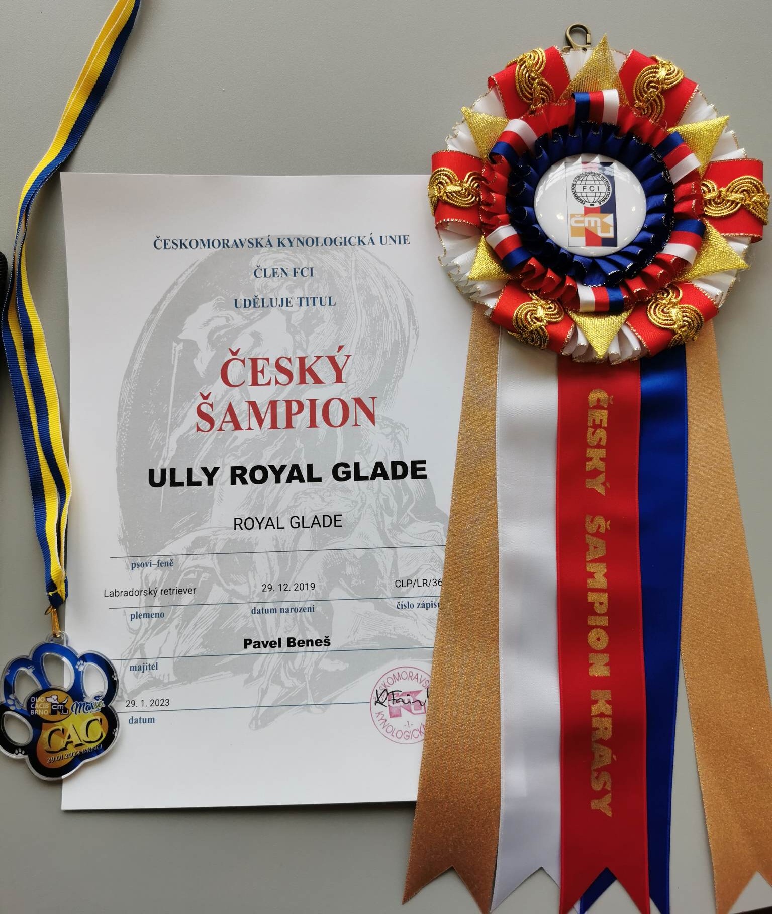 Výstavy leden 2023 | Royal Glade